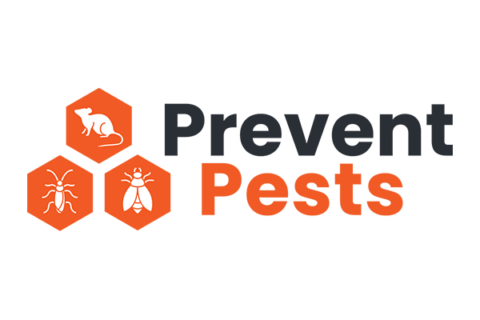 Ethan Painter – Michigan Entrepreneur & Marketer